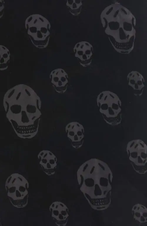 Alexander Mcqueen Skull Jacquard Wool & Silk Fringe Scarf In Black